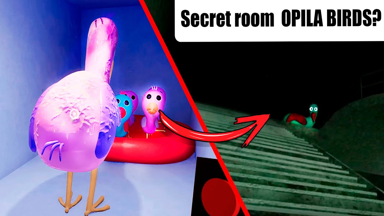 Found The Secret Room Of Opila Bird Secret Ending Baby Opila Birds