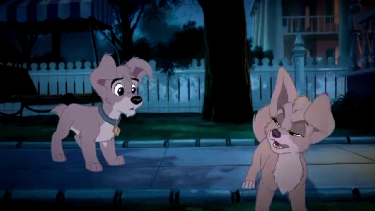 Lady And The Tramp 2 Scamp Angel S Quarrel Angel Fandub Youtube
