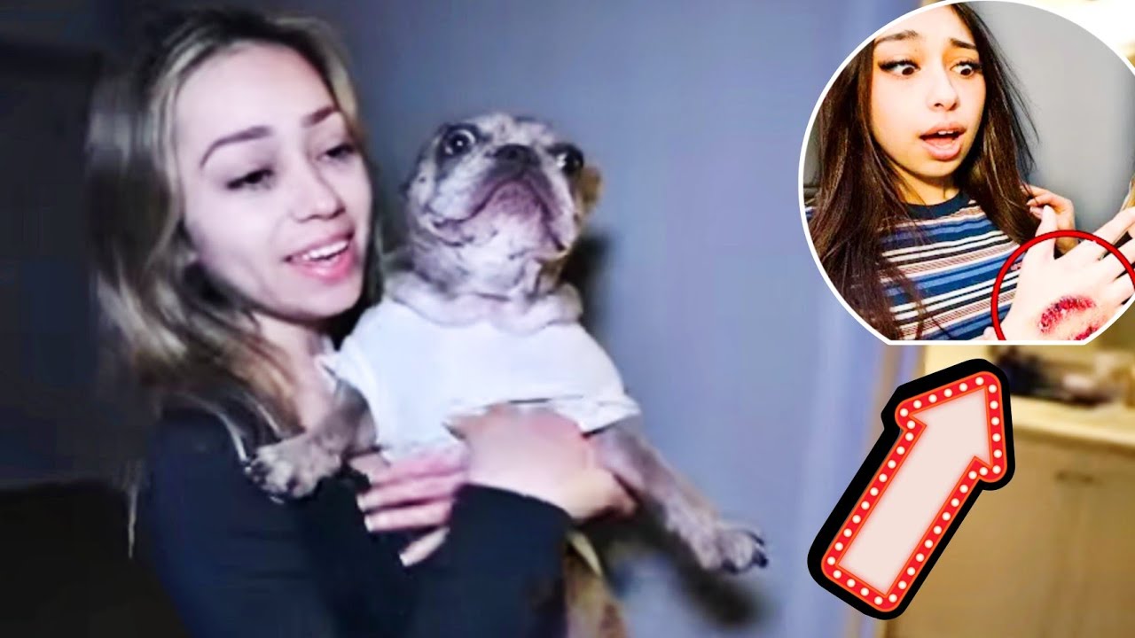 Ivanita Lomeli My Pet Dog Bit My Little Sisterёяшн Youtube