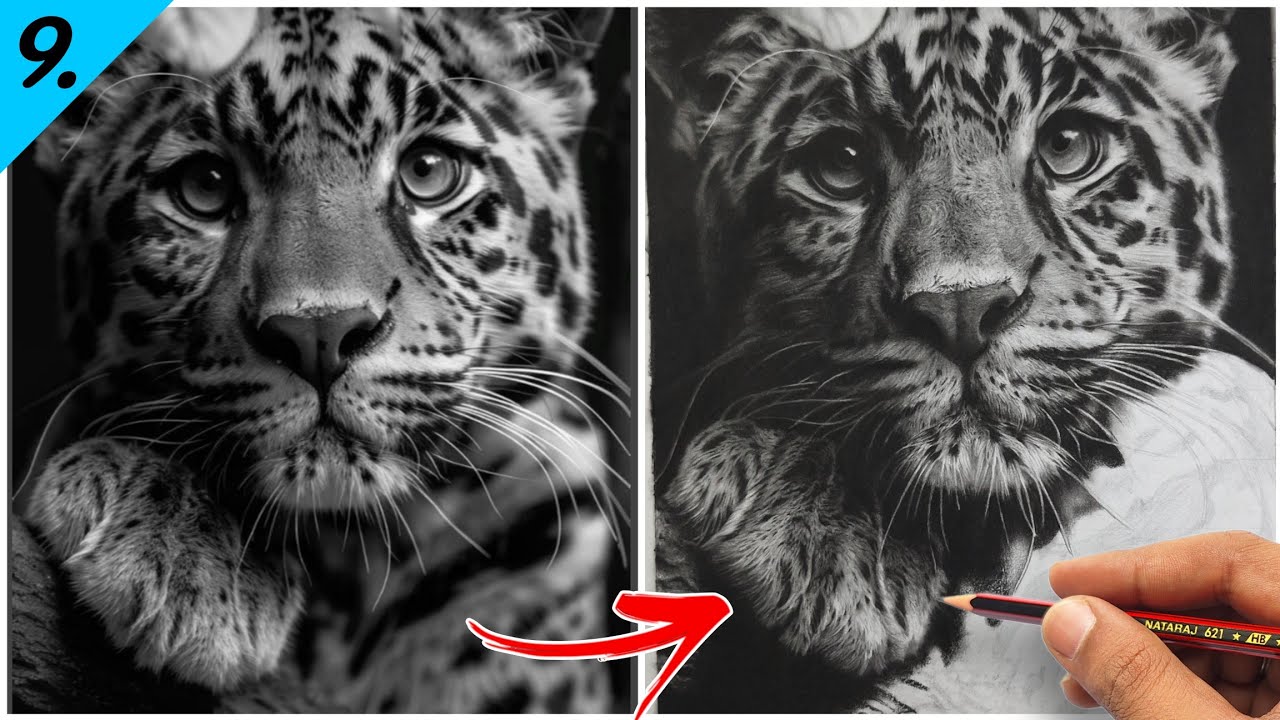 Drawing Hyper Realistic Leopard Real Time Shading Part 9 Youtube