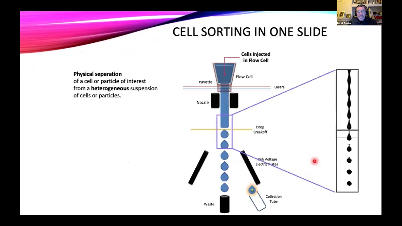 Openflow Introduction To Cell Sorting Part Ii Youtube