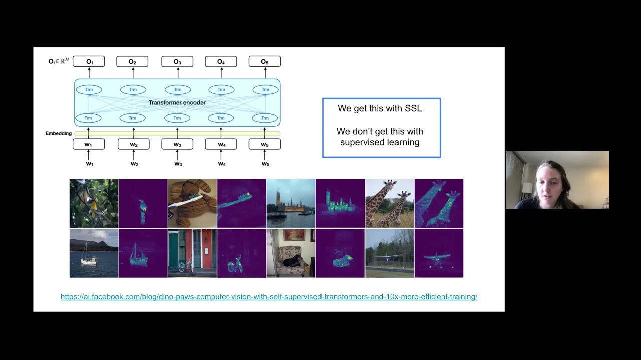 Dino Emerging Properties In Self Supervised Vision Transformers Youtube