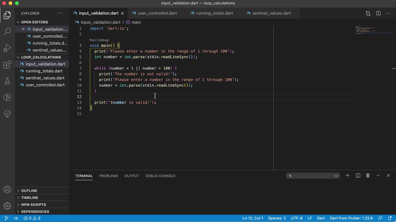 Dart Flow Control Input Validation And User Controlled Loops Youtube