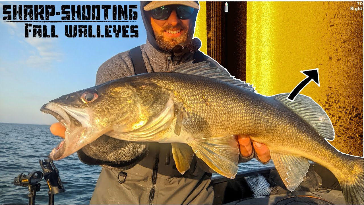 Easy Technique To Catch A Ton Of Fall Walleyes Sharpshooting Youtube