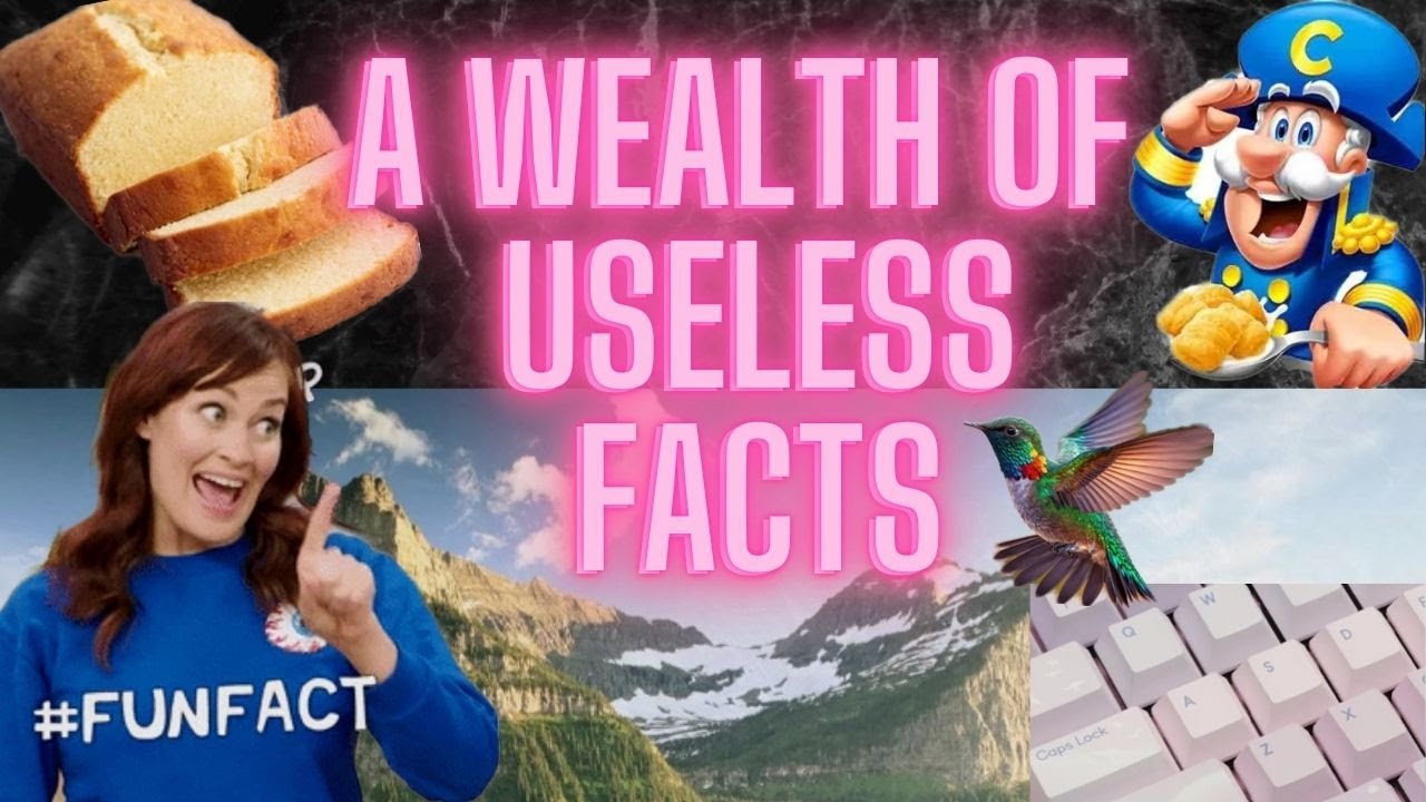 For The Love Of Learning Learn Something Completely Useless Today