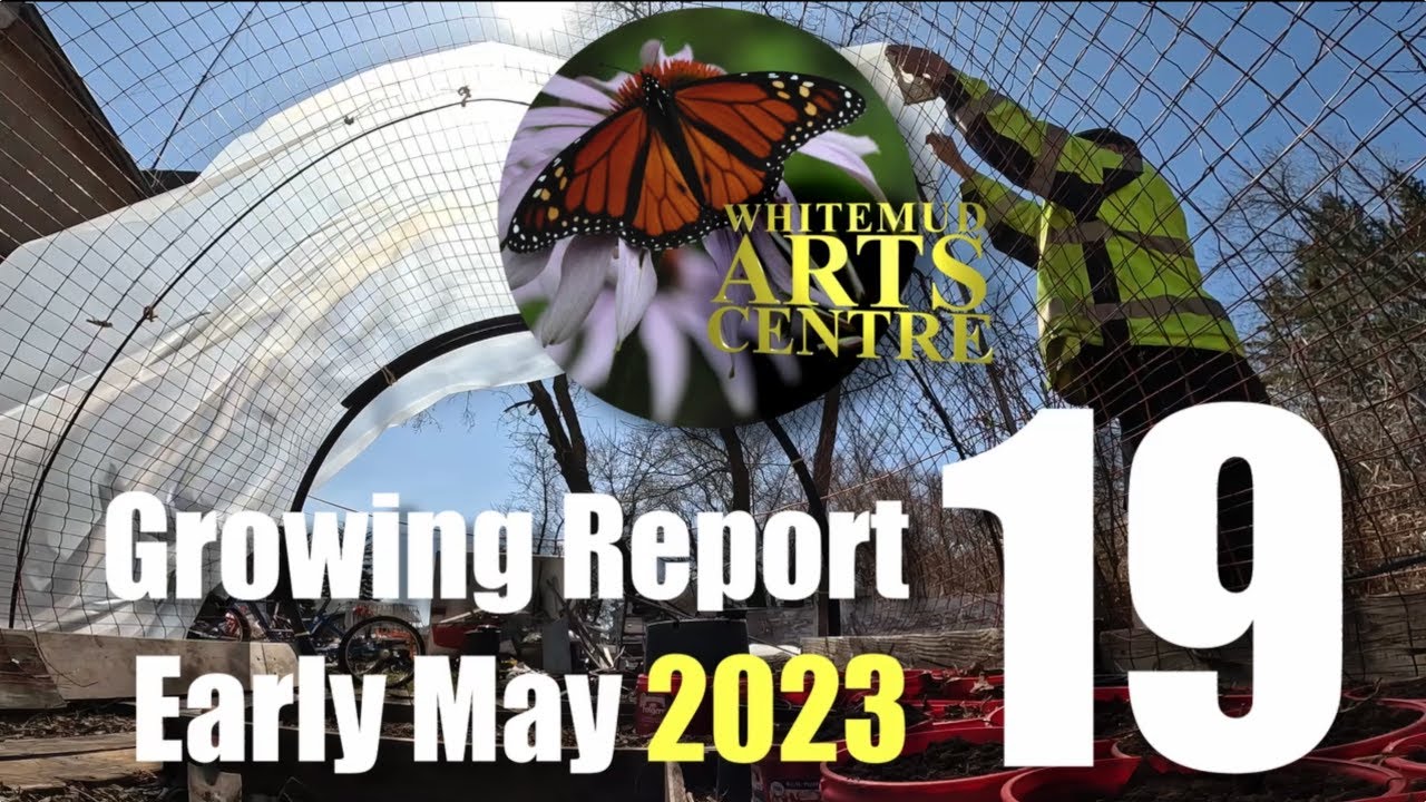 Wac Growing Report 2023 19 Early May Youtube