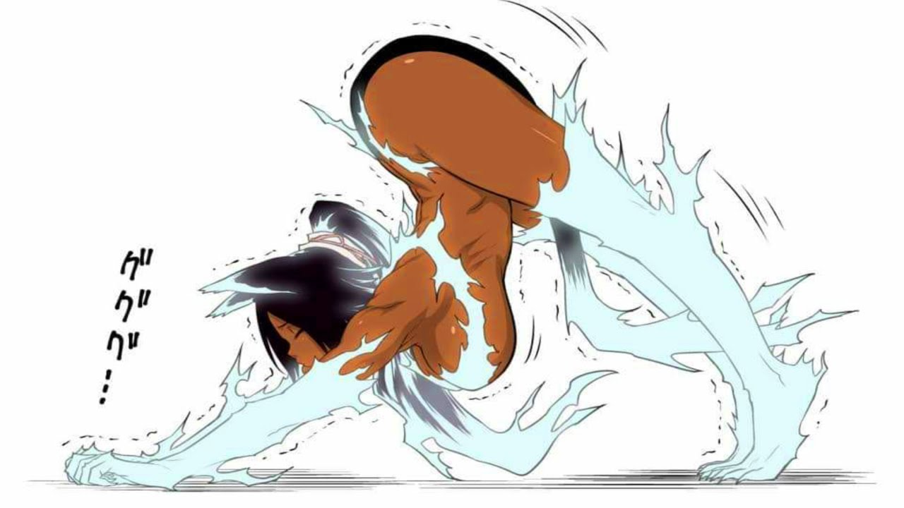 Bleach Yoruichi Cat