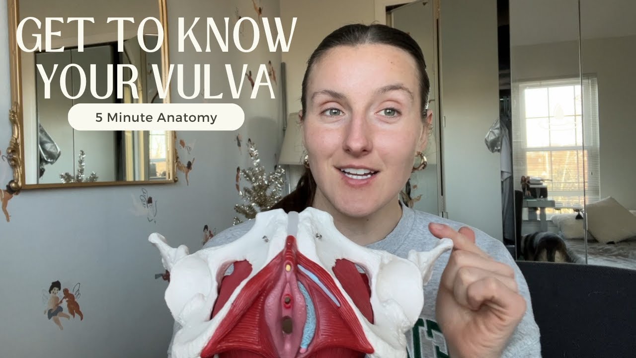 Get To Know Your Vulva 5 Minute Anatomy Youtube