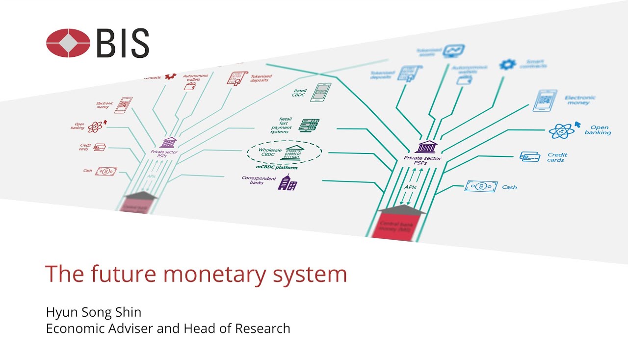 Bis The Future Monetary System Youtube
