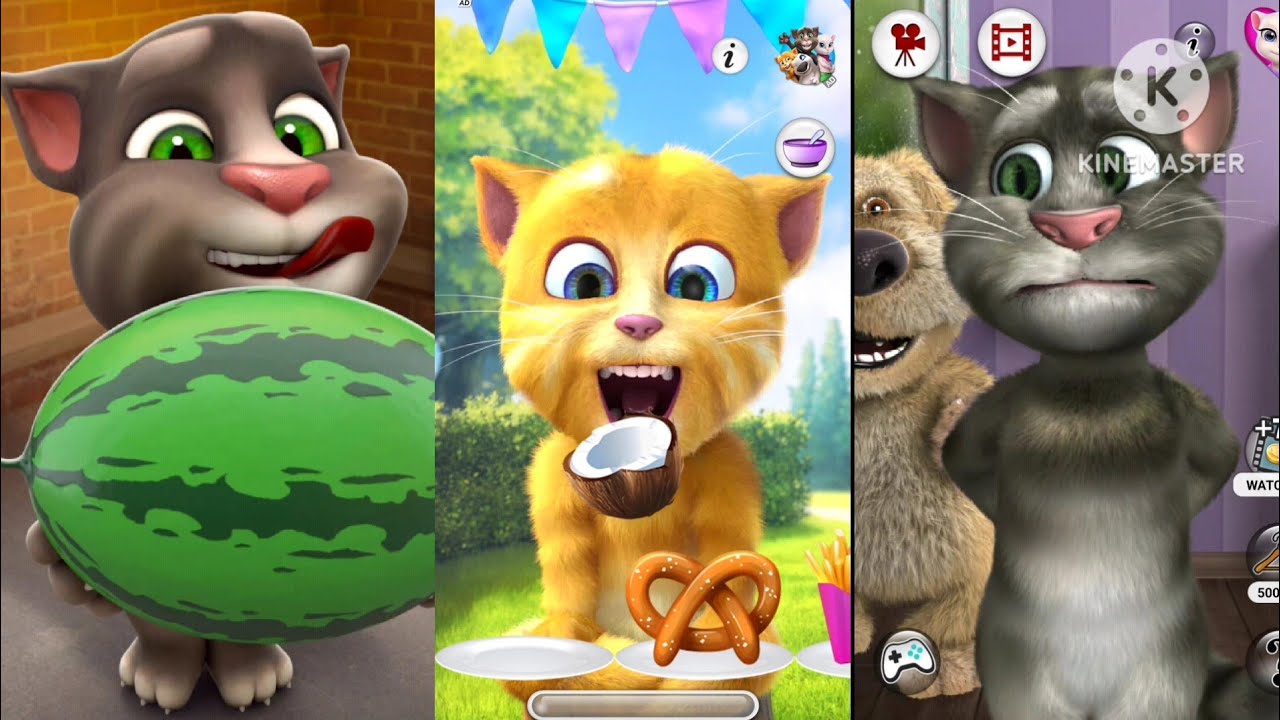 Cat Cartoon Talking Tim Tom Friends Youtube