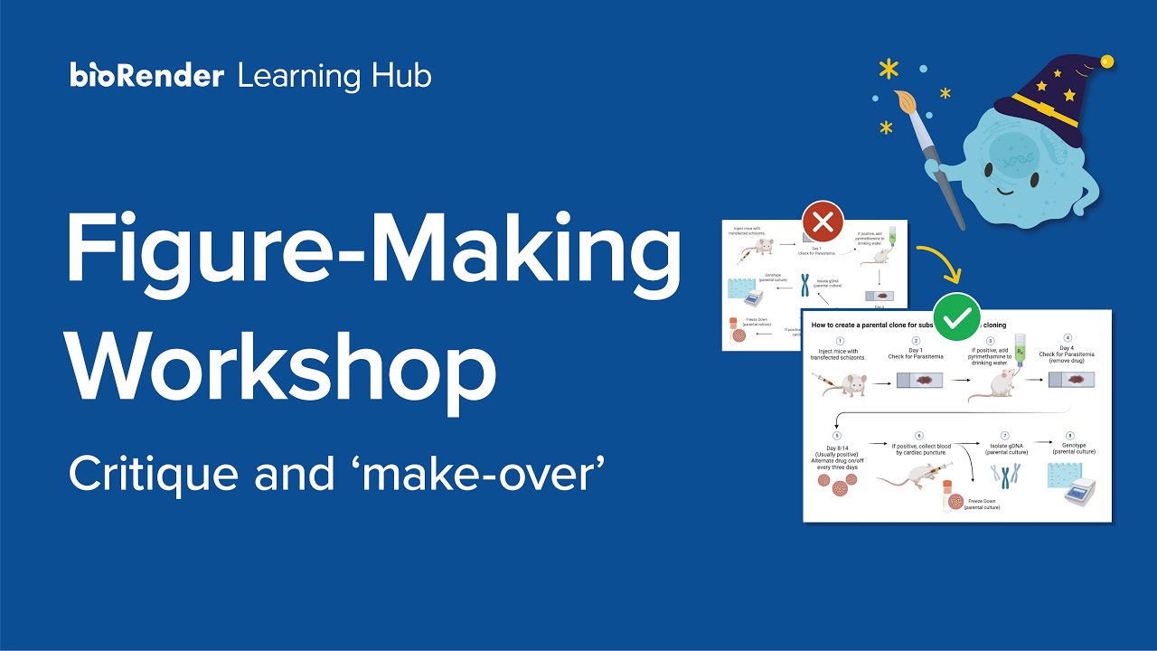 Biorender Learning Hub Figure Making Workshop Youtube