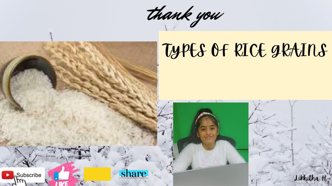 Rice Grain Image Classification Project Using Python Data Science