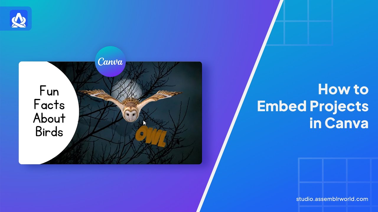 How To Embed Projects In Canva Youtube