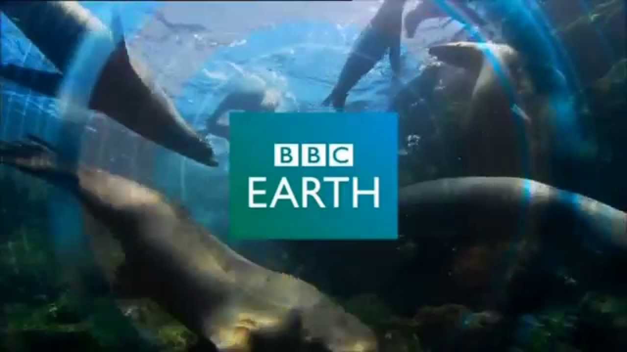Bbc Earth Ident 2014 Youtube