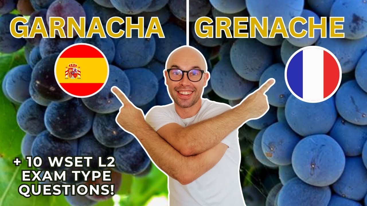 Garnacha Grenache For Wset Level 2 In Wines 10 Wset Exam Type