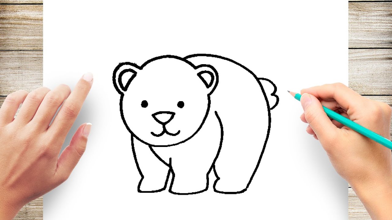 How To Draw Nev The Bear Plantforce21