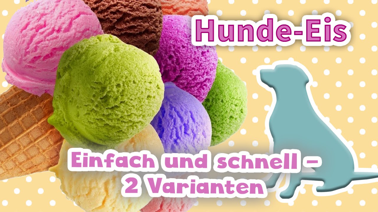 Leckeres Hunde Eis Selbstgemacht Diy 2 Varianten Youtube