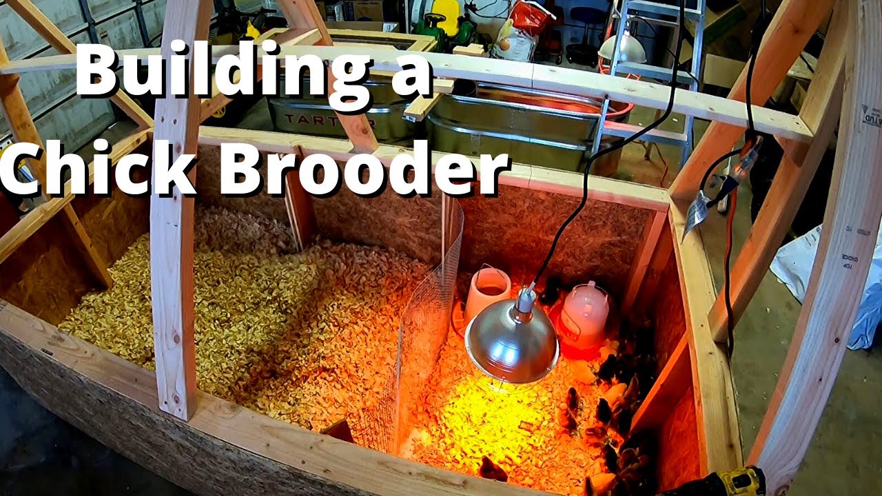 Easy Diy Chicken Brooder Scott Family Homestead