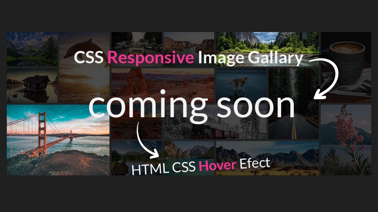 How To Make Responsive Image Gallery Using Css Grid Css Grid