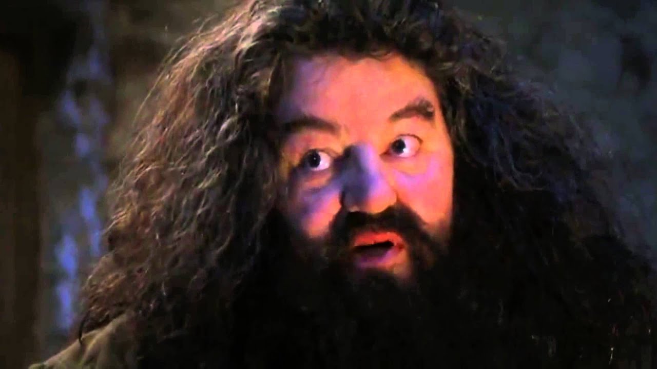 Hagrid Youre A Wizard Harry