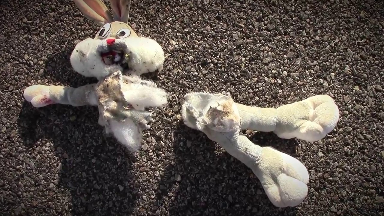 Experiment Bunny Explosion Youtube