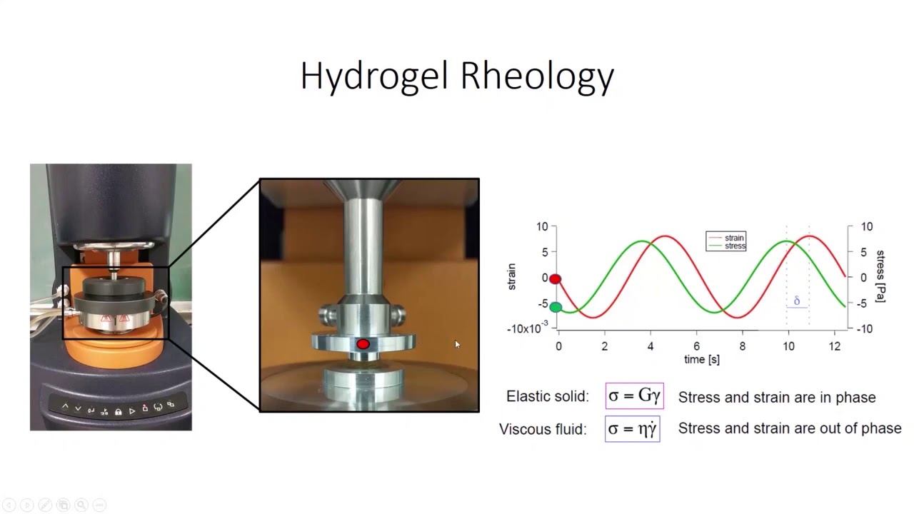 Hydrogel Characterization Lecture Youtube