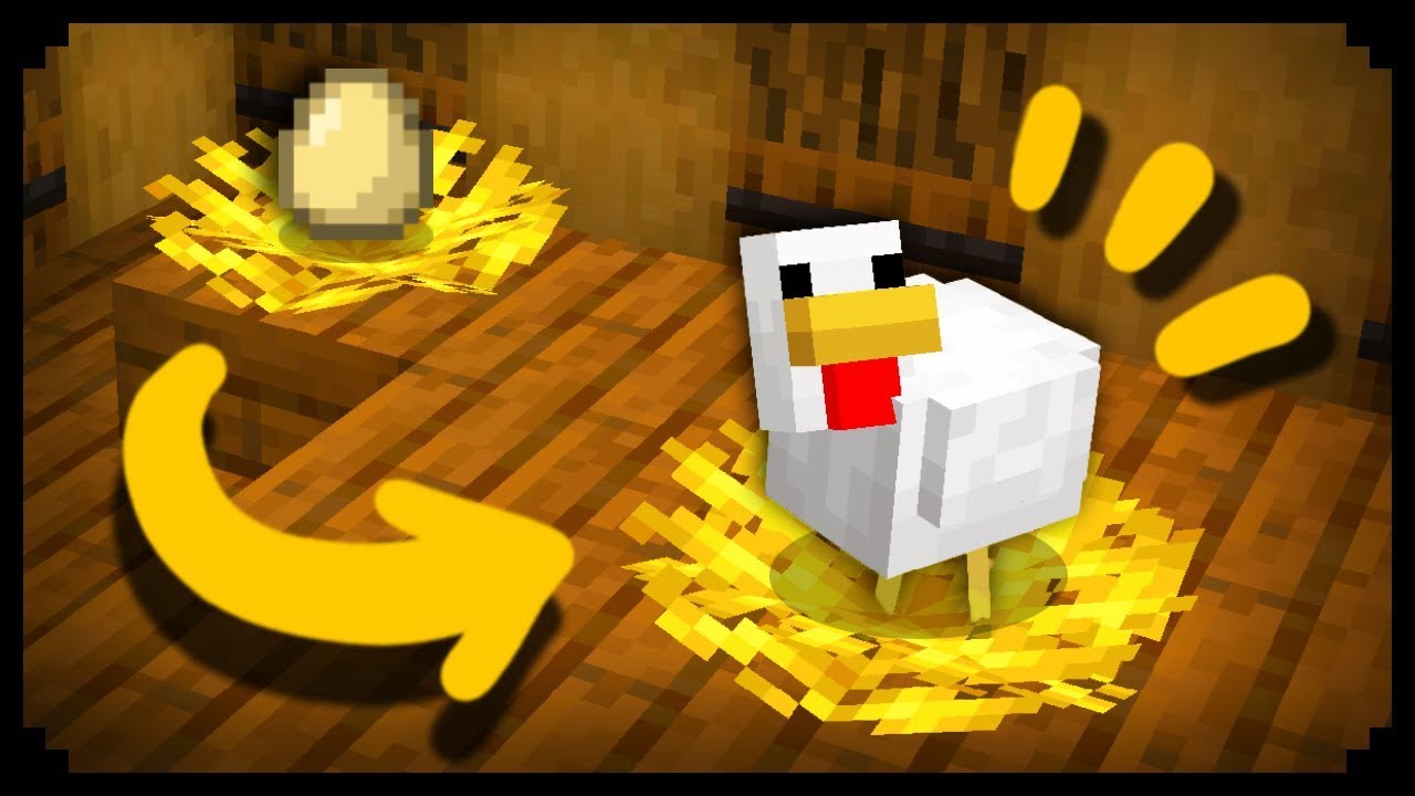 How To Make Chickens Lay Eggs In Minecraft