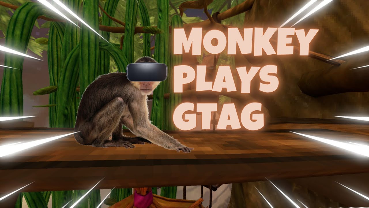Monkey Plays Gorilla Tag Youtube