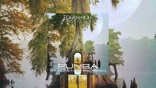 Equanimous Feat Evan Hatfield Pumba David Starfire Remix Equanimous Mp3 ...