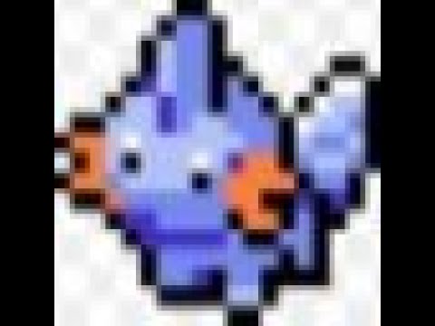 More Programming Youtube