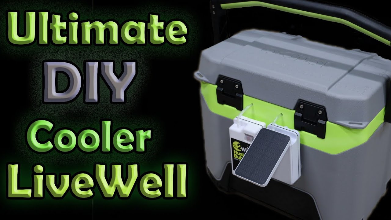 How To Make Your Own Diy Livewell Design Talk