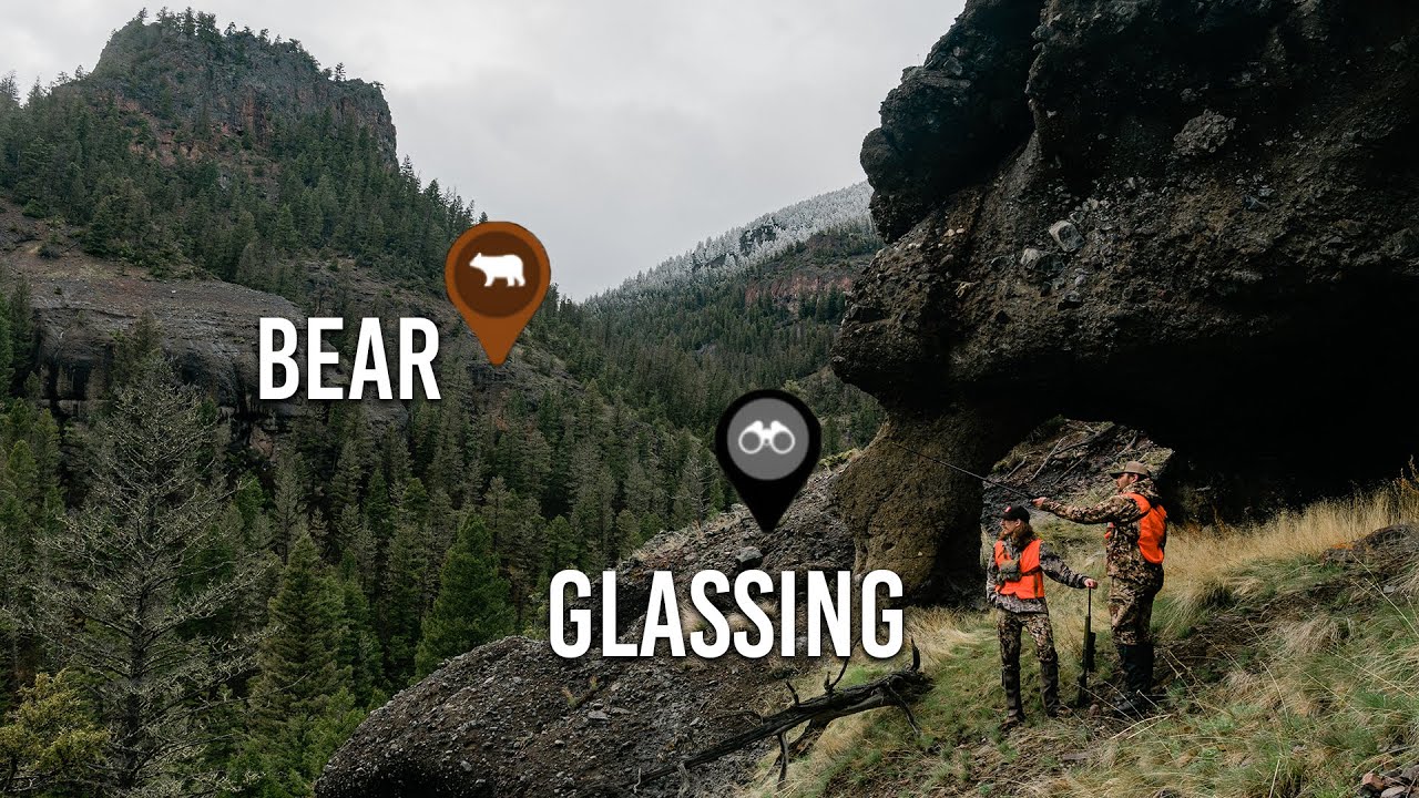 How To E Scout For Bears Western Spring Black Bear Hunting Youtube