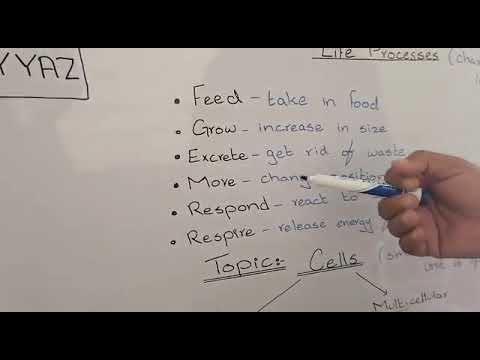 Apsacs Osp Week 2 Class 6 Science Lecture 1 Youtube