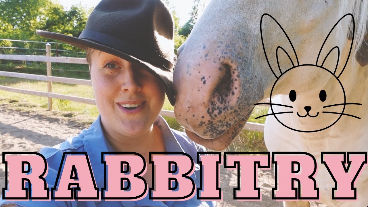 Building Our Rabbitry 笙 Youtube