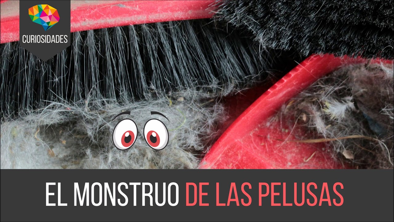 El Monstruo De Las Pelusas Youtube