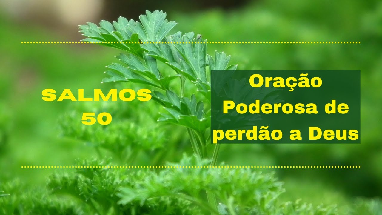 Oração Poderosa De Perdão A Deus Salmos 50 Youtube