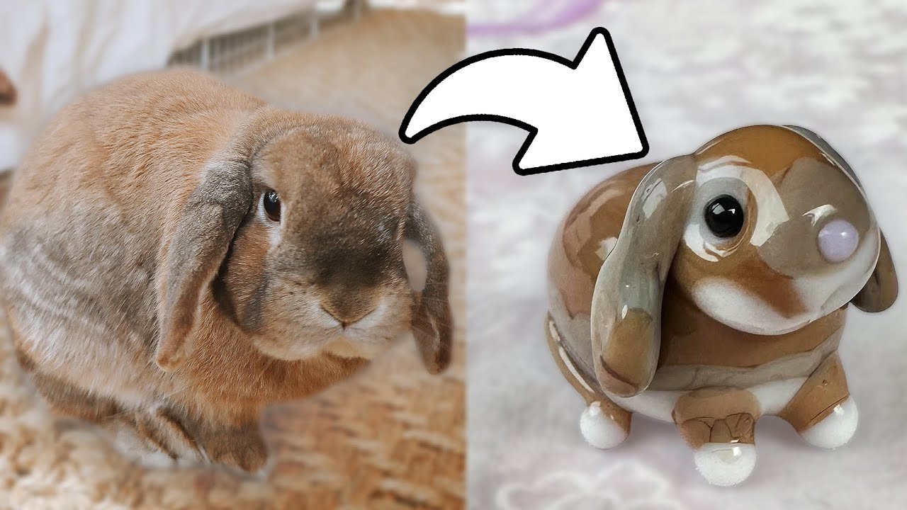 Testing Bizarre Rabbit Products Are They Worth It Youtube