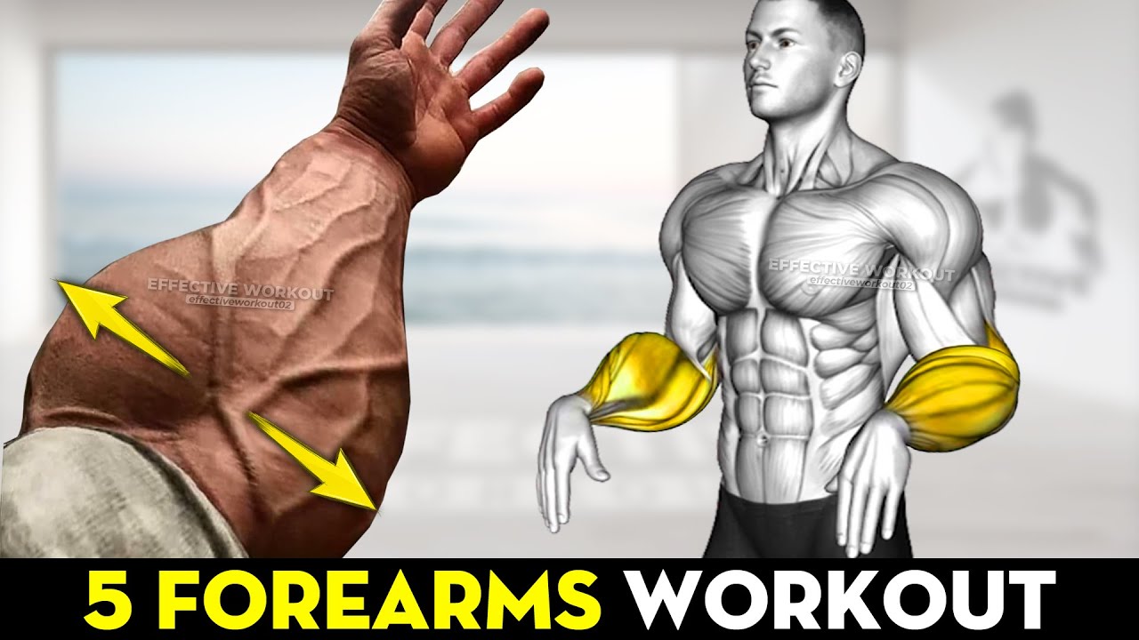 5 Best Exercises For Bigger Forearms Workout Youtube