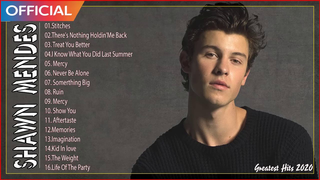 Shawn Mendes Playlist At Trevor Roy Blog