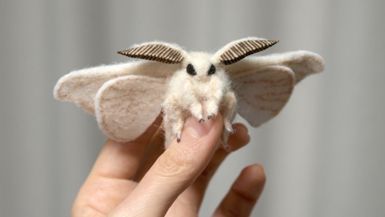 Giant Fuzzy Moth