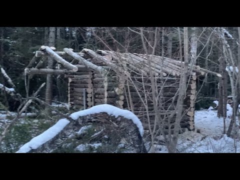 Small Log Cabin Build Day 18 Youtube