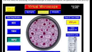 Uct Virtual Microscope Mp3 Mp4 Download Clip Africa