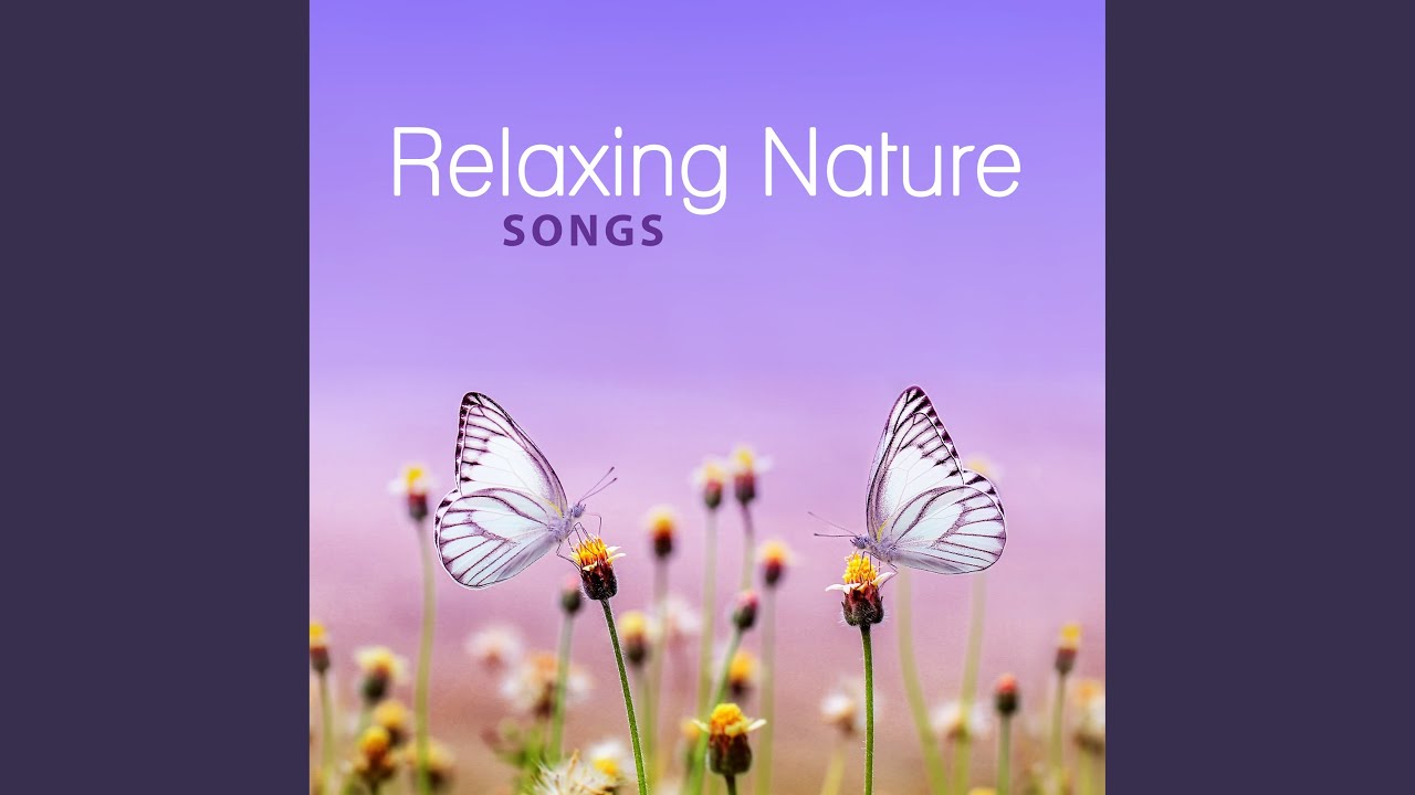 Stress Relief Youtube Music