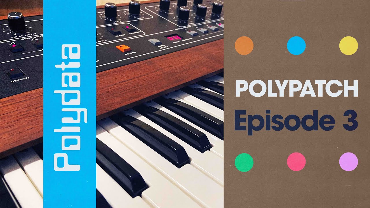 Polypatch With Polydata Episode 3 Youtube