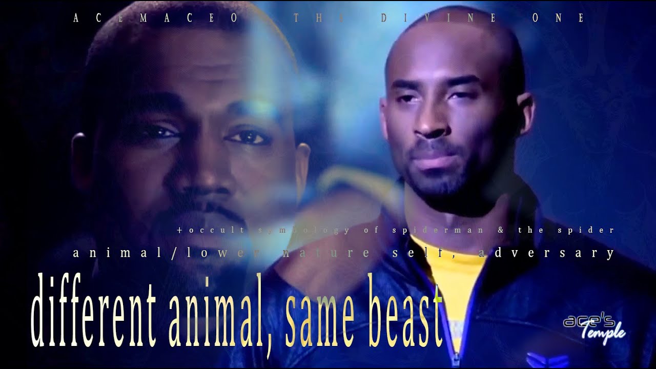 Are You A Different Animal And The Same Beast Meaning The Tube