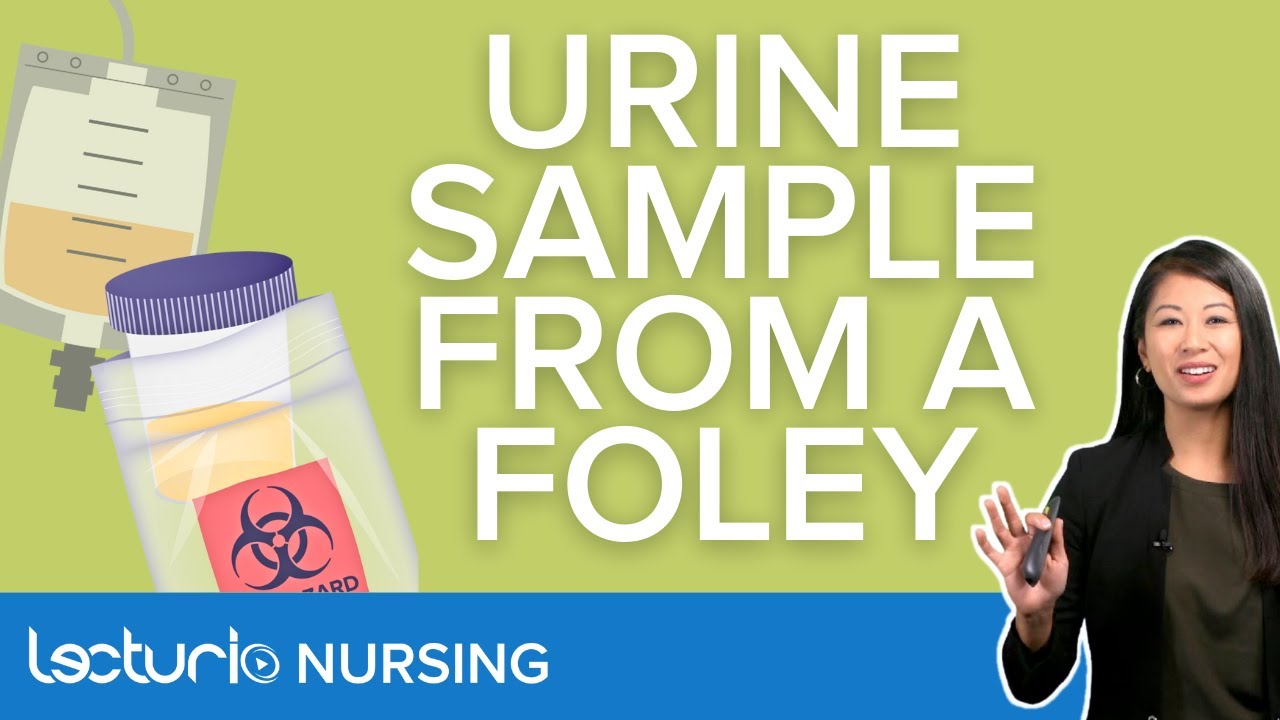 Catheter Foley Urine At Kimberly Mayer Blog