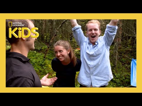 Survival 101 Weird But True S1 E7 Full Episode Natgeokids