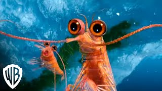 Happy Feet Two Moving Upthe Food Chain Warner Bros Entertainment Warner ...