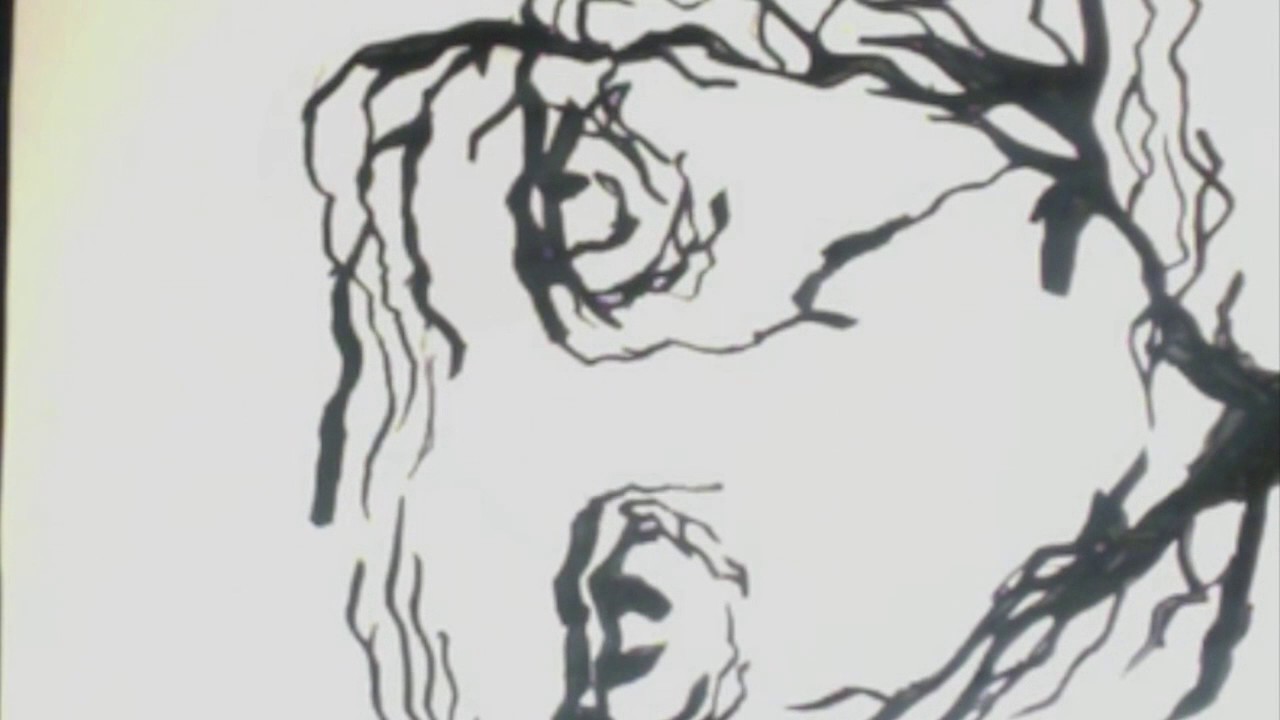 Dragonframe 4 Tutorial Mashple