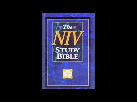 Book Of Revelation Niv Audio Bible Non Dramatized Youtube